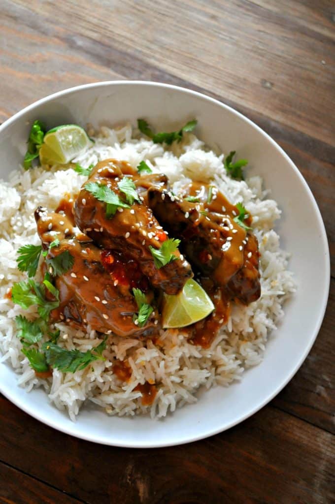Vegan Tempeh Satay - Rabbit and Wolves